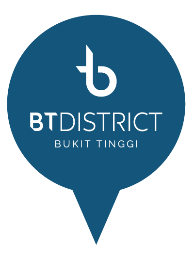 BT DISTRICT A GEM DEVELOPMENT IS SET TO BEUNEARTHED bt-district-a-gem-development-is-set-to-beunearthed